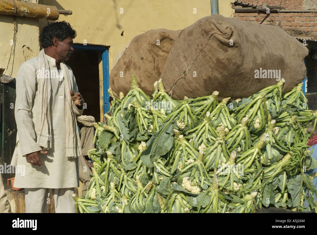 Roadside market in Varanasi, India Stock Photo - Alamy