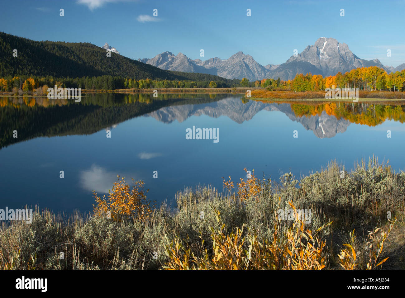 Mt Moran at Oxbowbend Stock Photo - Alamy