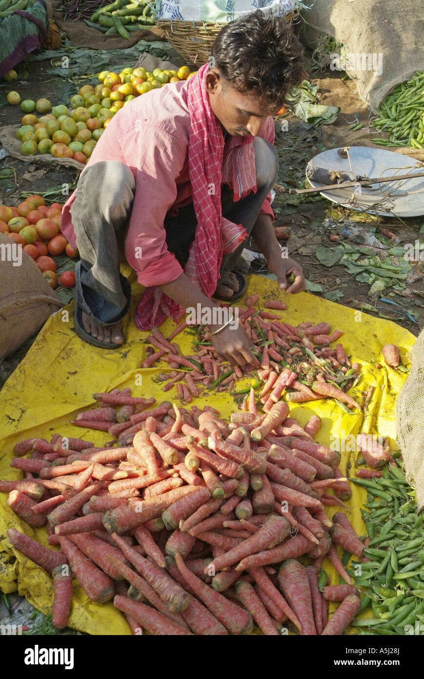 Man selling carrots at a roadside vegetable market in Varanasi, India Stock Photo - Alamy