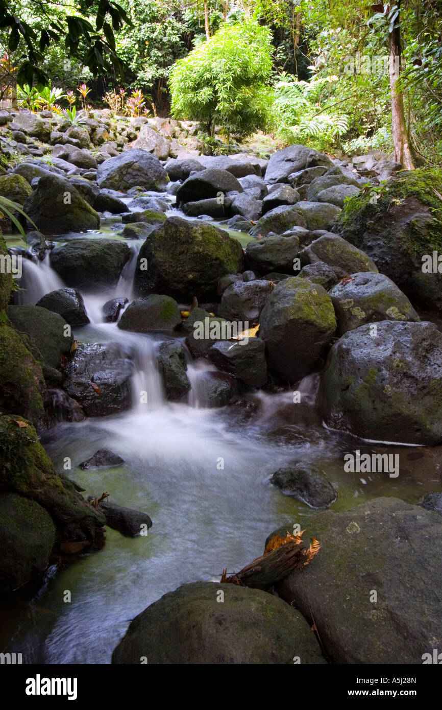 Rainforest Stream Tahiti French Polynesia Society Islands South Pacific ...