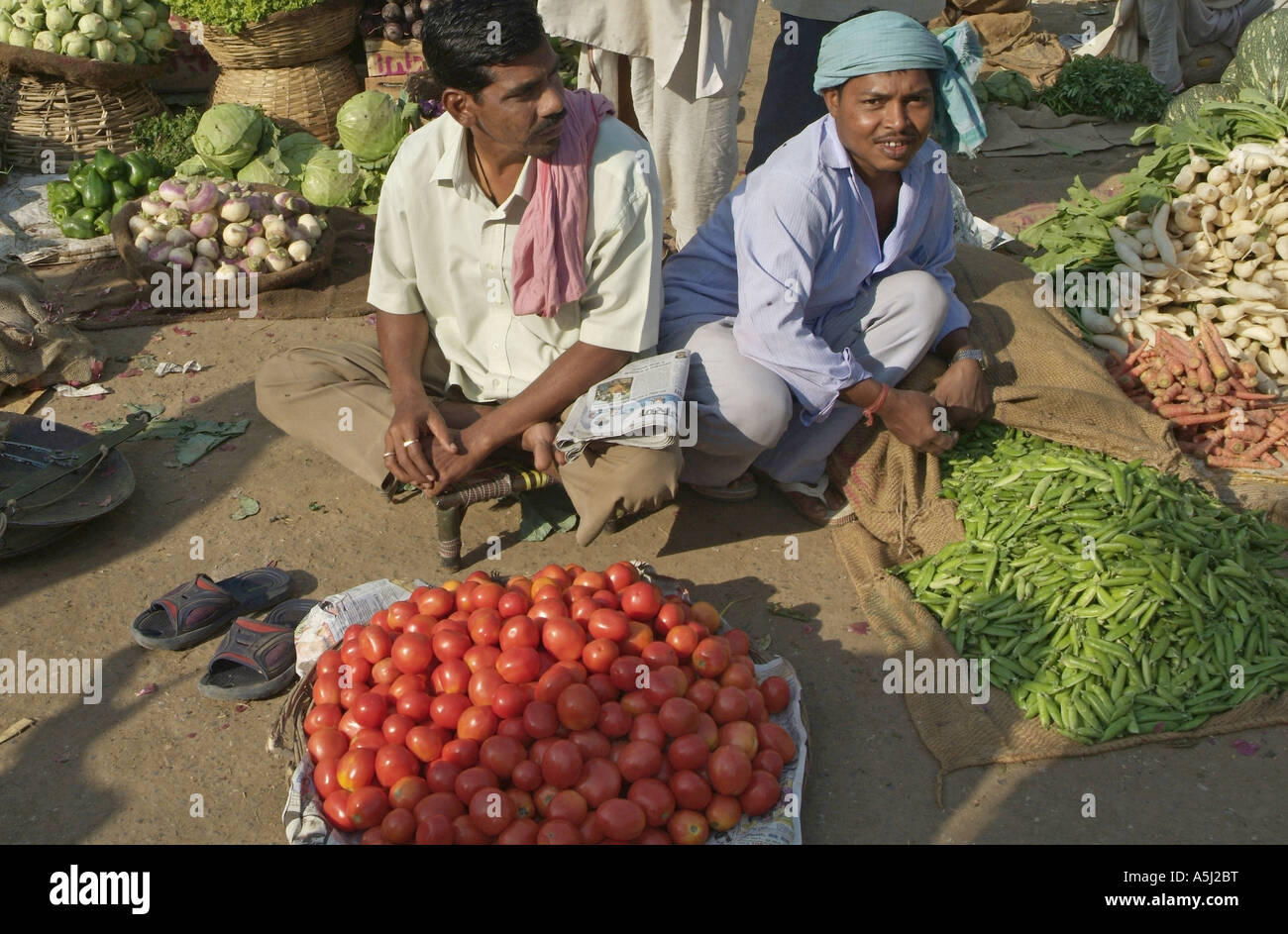 Men selling vegetables at a market in Varanasi, India Stock Photo - Alamy