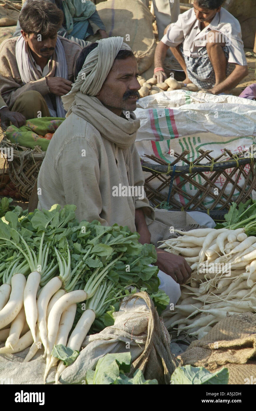 Roadside market in Varanasi, India Stock Photo - Alamy