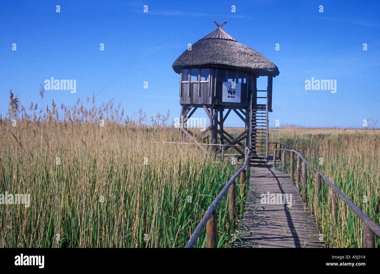 LAKE PAPE LATVIA Stock Photo - Alamy