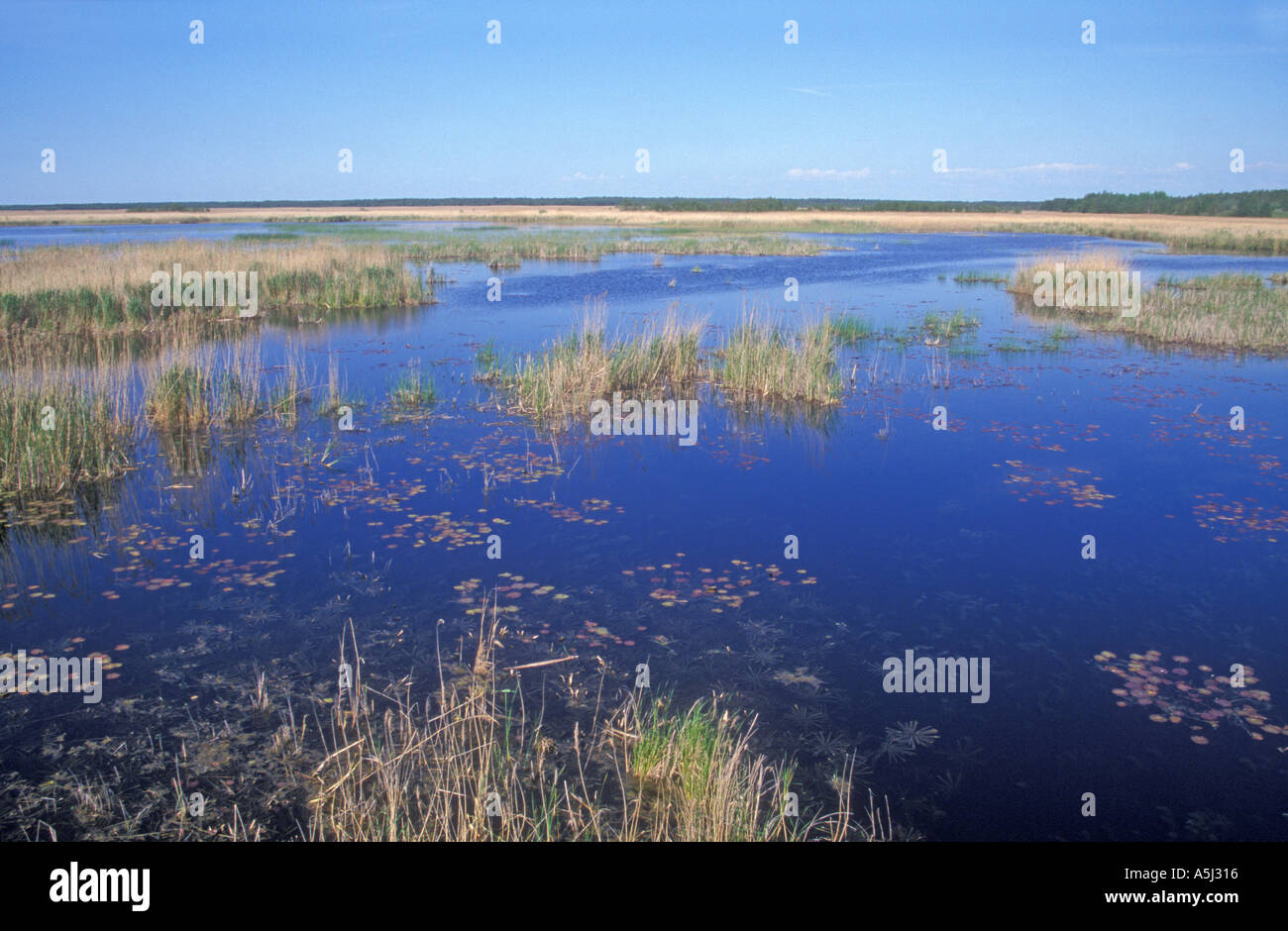 Pape reserve hi-res stock photography and images - Alamy