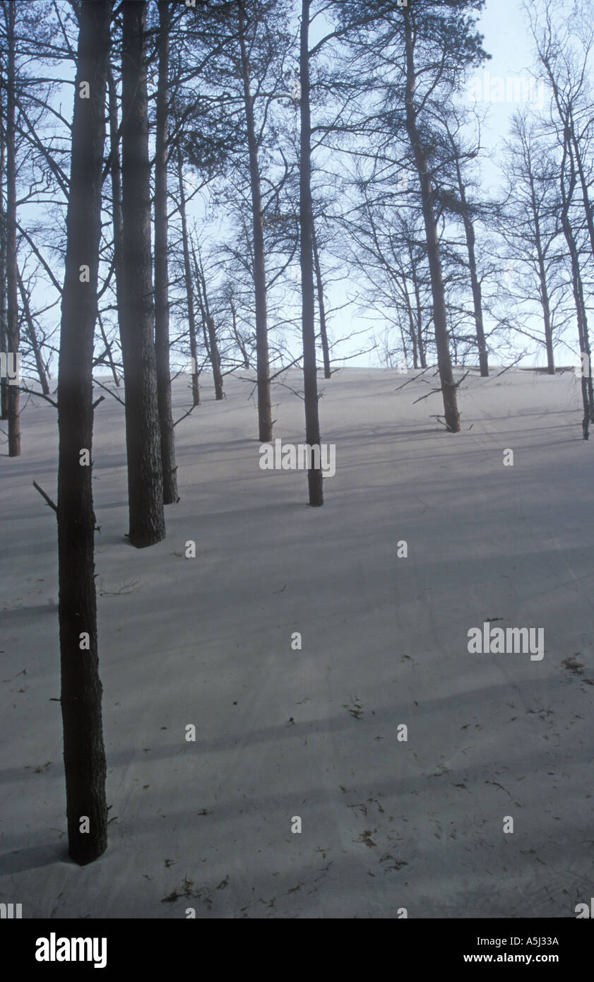 SLOWINSKI NATIONAL PARK POLAND Stock Photo - Alamy