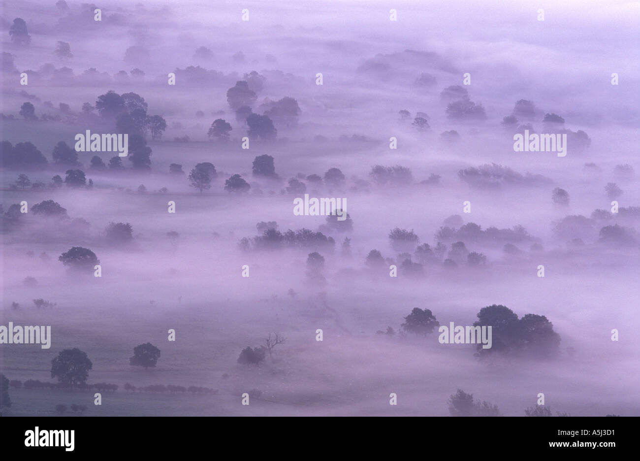 Farmland shrouded in mist Stock Photo - Alamy