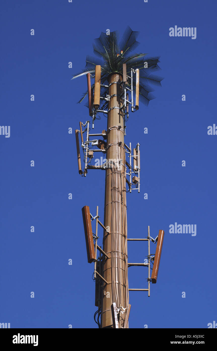 Mobile phone mast disguised as palm tree hi-res stock photography and ...