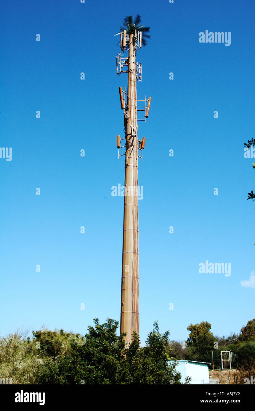 Telephone pole palm tree hi-res stock photography and images - Alamy