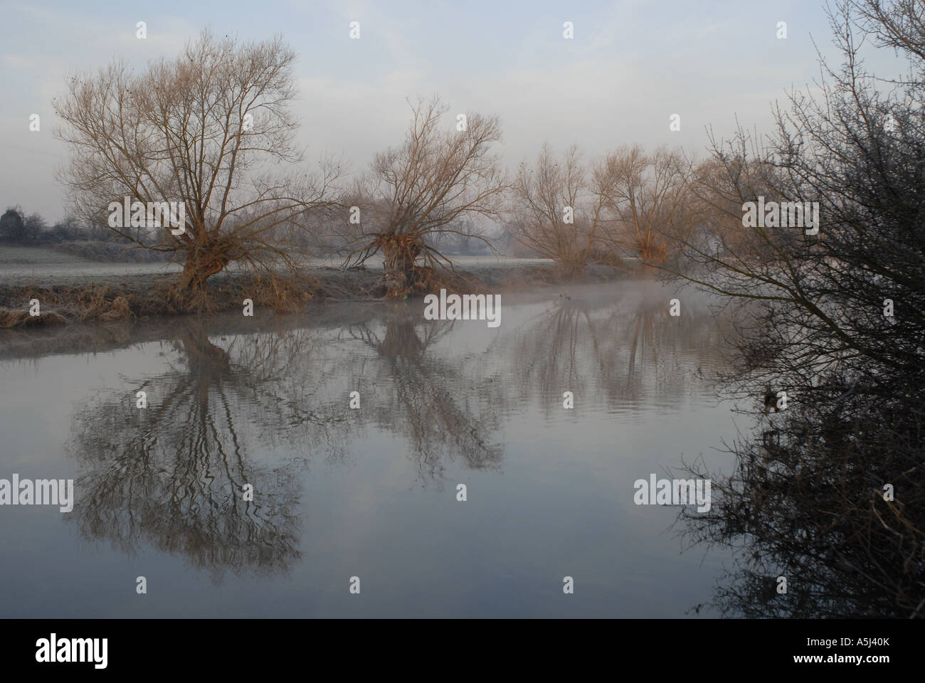 The River Avon at Chadbury near Evesham, Worcestershire, the morning ...