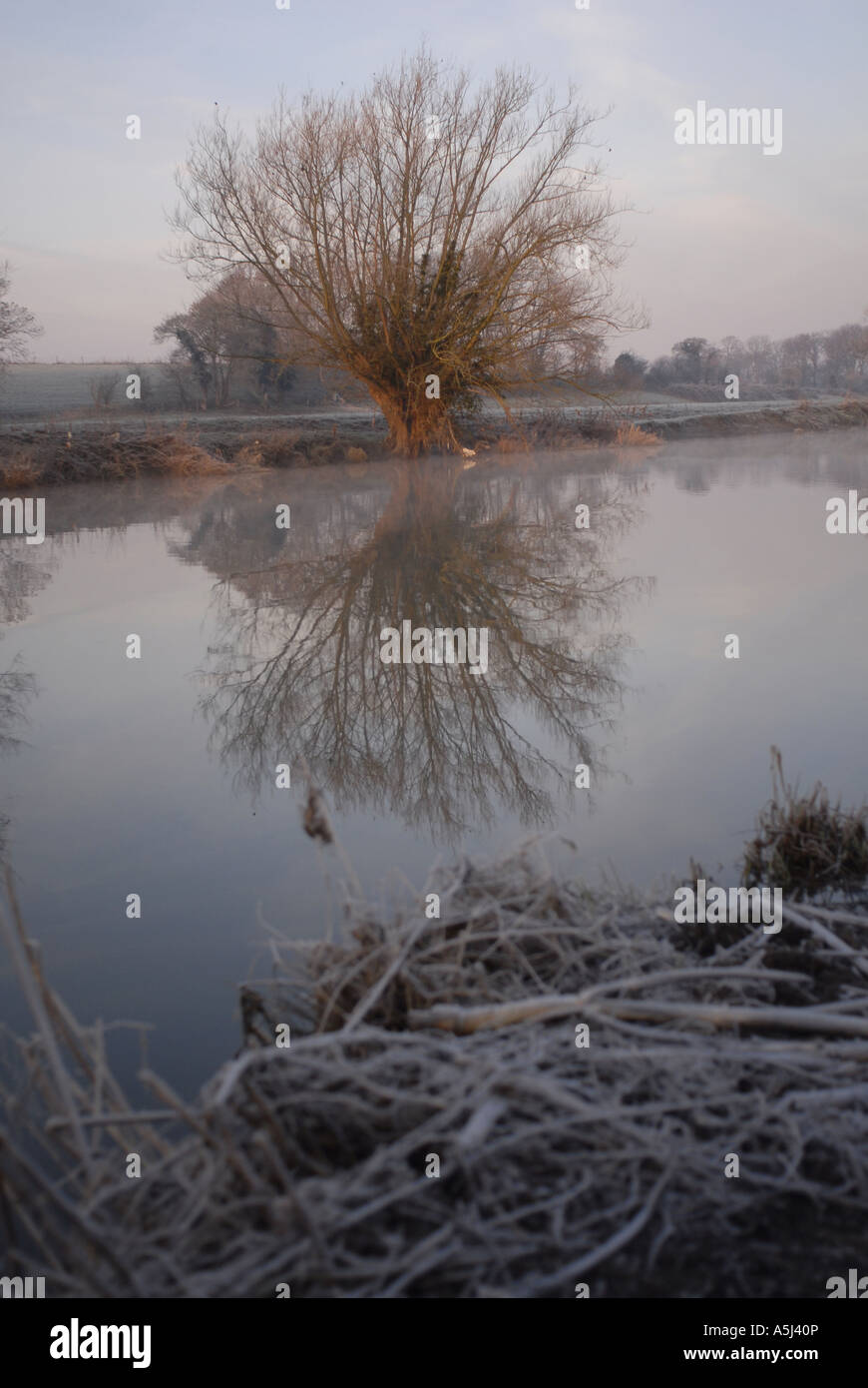The River Avon at Chadbury near Evesham, Worcestershire, the morning ...