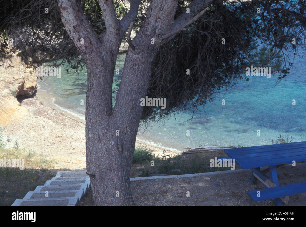 Tree with beach beyond, Assos , Kefalonia, Greece Stock Photo - Alamy