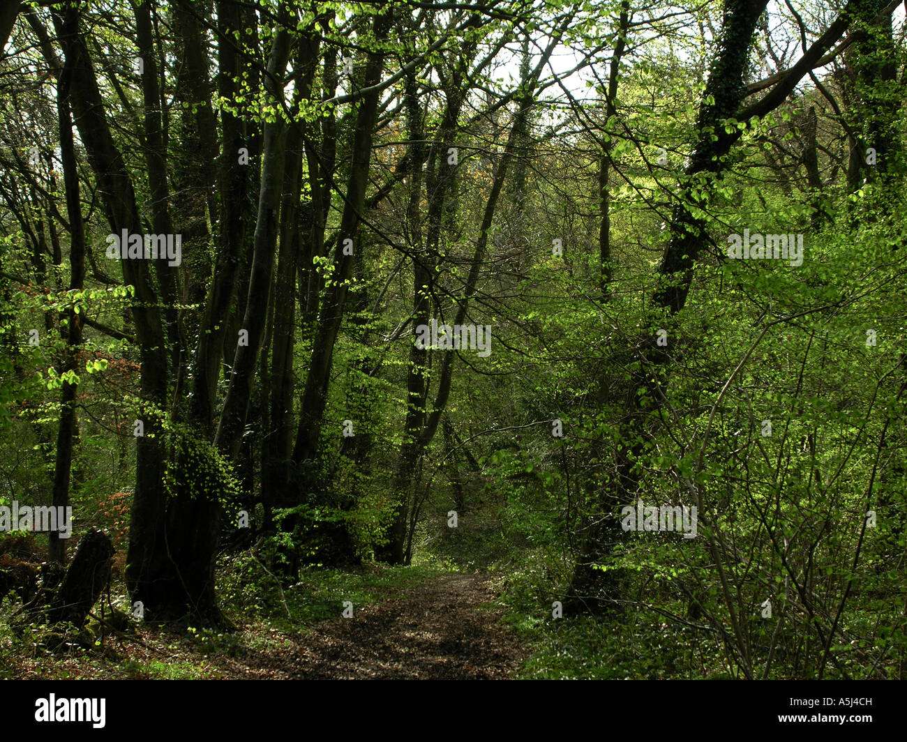 The doward hi-res stock photography and images - Alamy