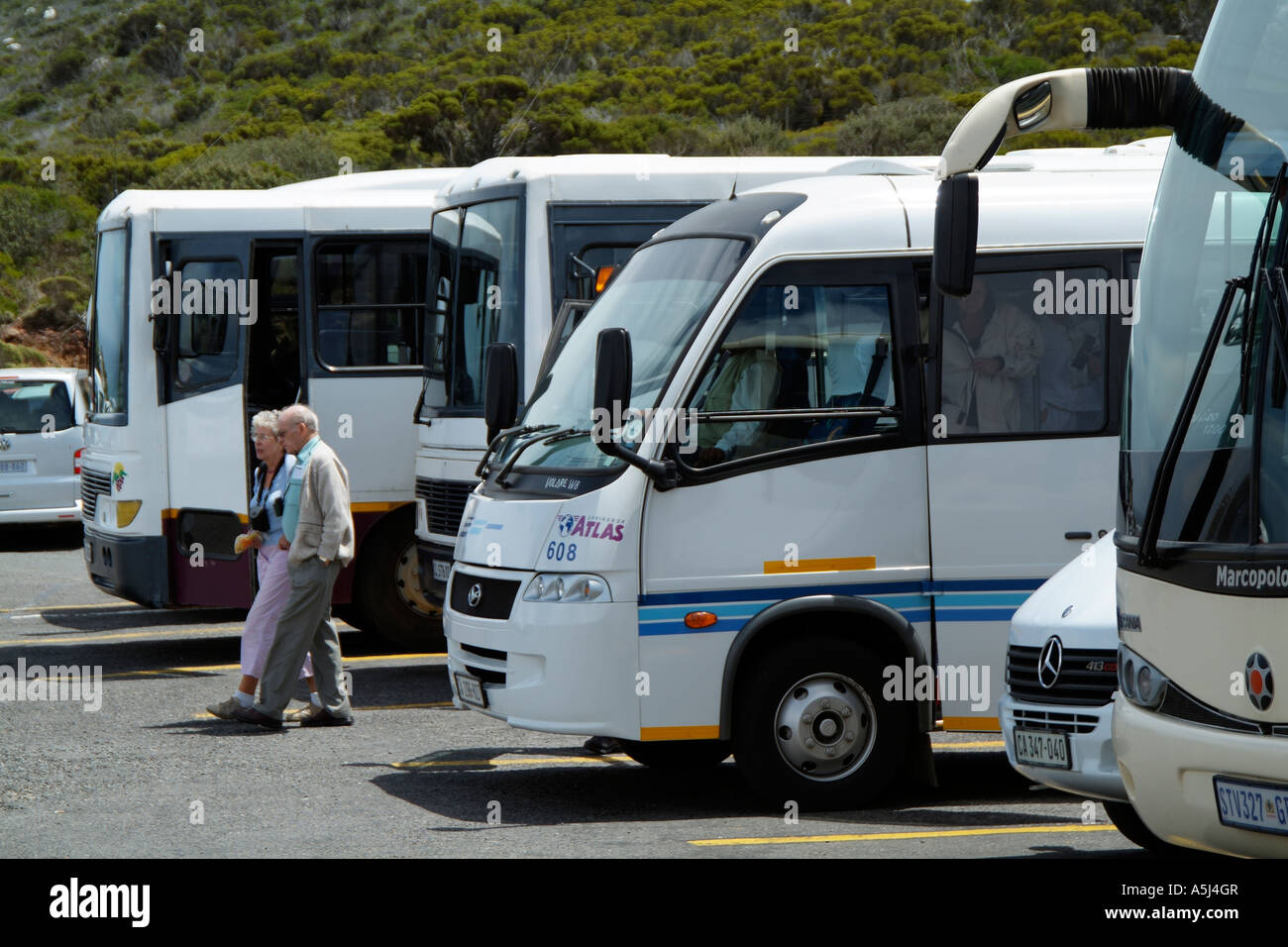 Excursion coaches. Tourists and tour buses.Cape Point South Africa RSA ...