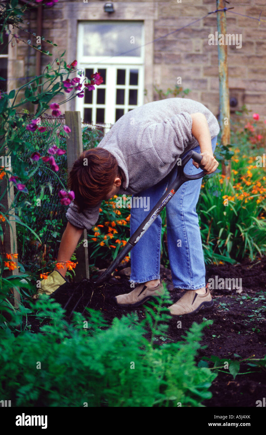 Mature woman gardening bending over hi-res stock photography and images ...