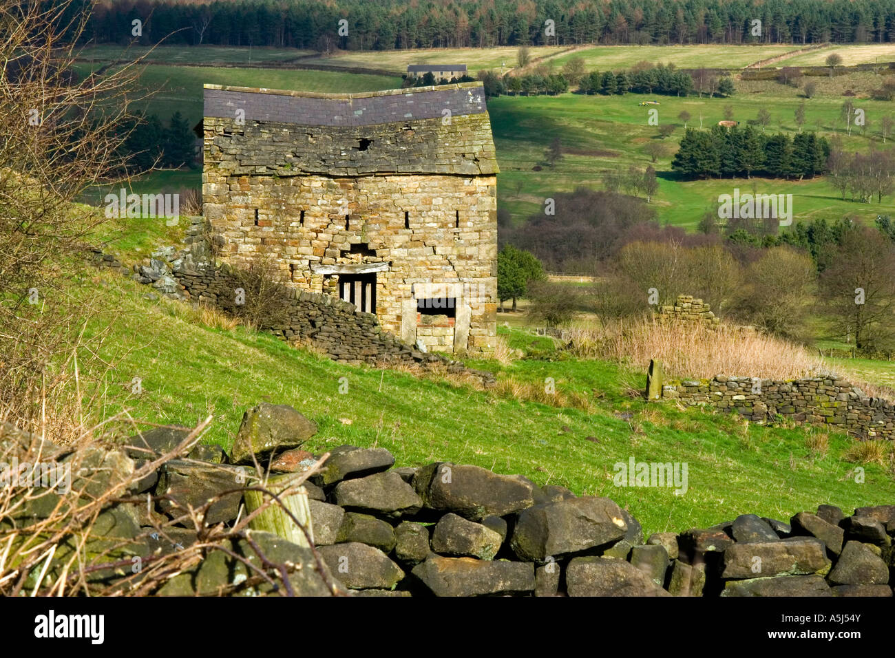 Disused traditional stone barn at Cuckoostone Dale near Matlock in the ...