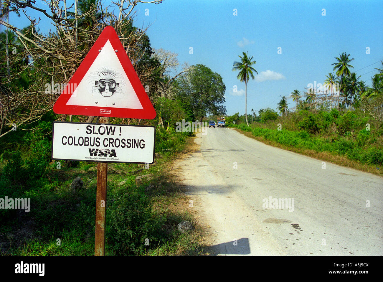 Red Colobus monkey crossing sign in the Jozani forest in Zanzibar in ...