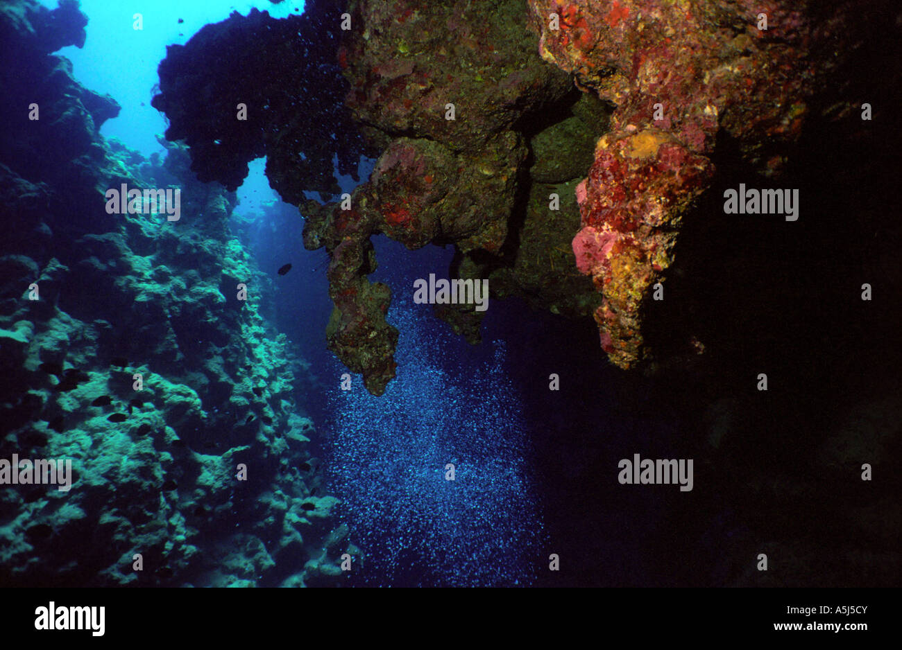 Red Sea coral caves in Egypt Stock Photo - Alamy