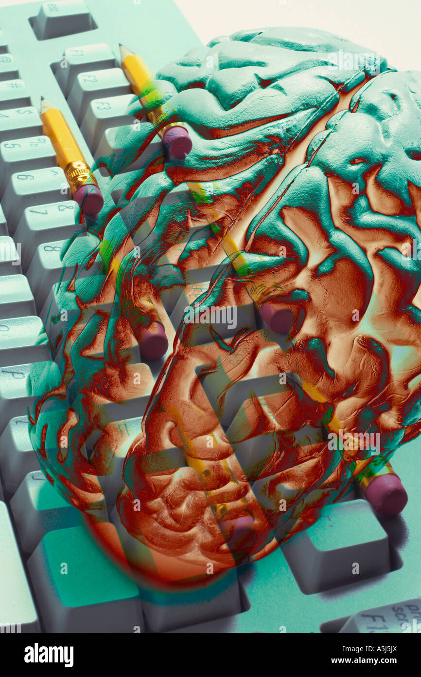 Brain Model and Computer Keyboard Stock Photo - Alamy