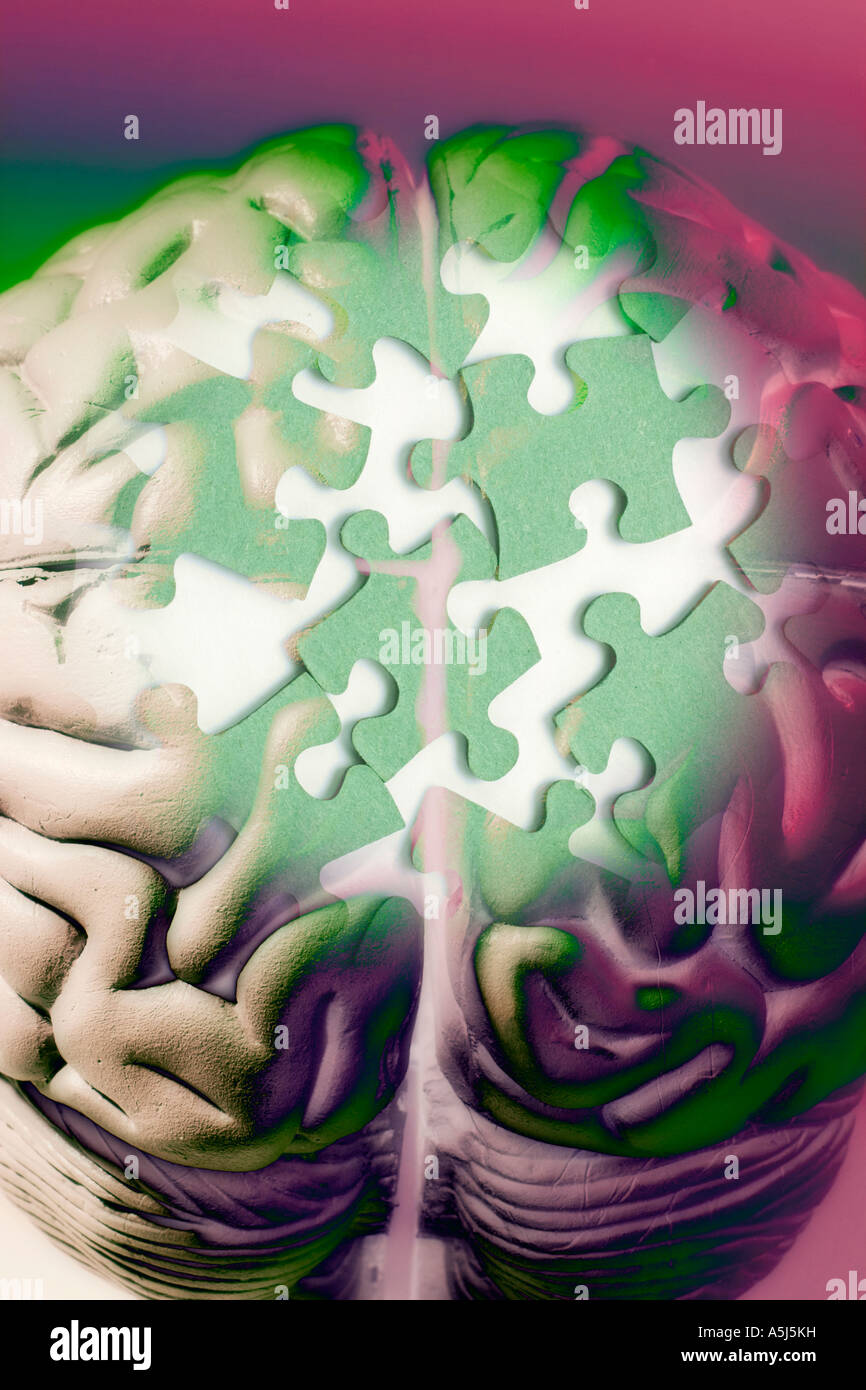 Brain Model and Puzzle Pieces Stock Photo - Alamy