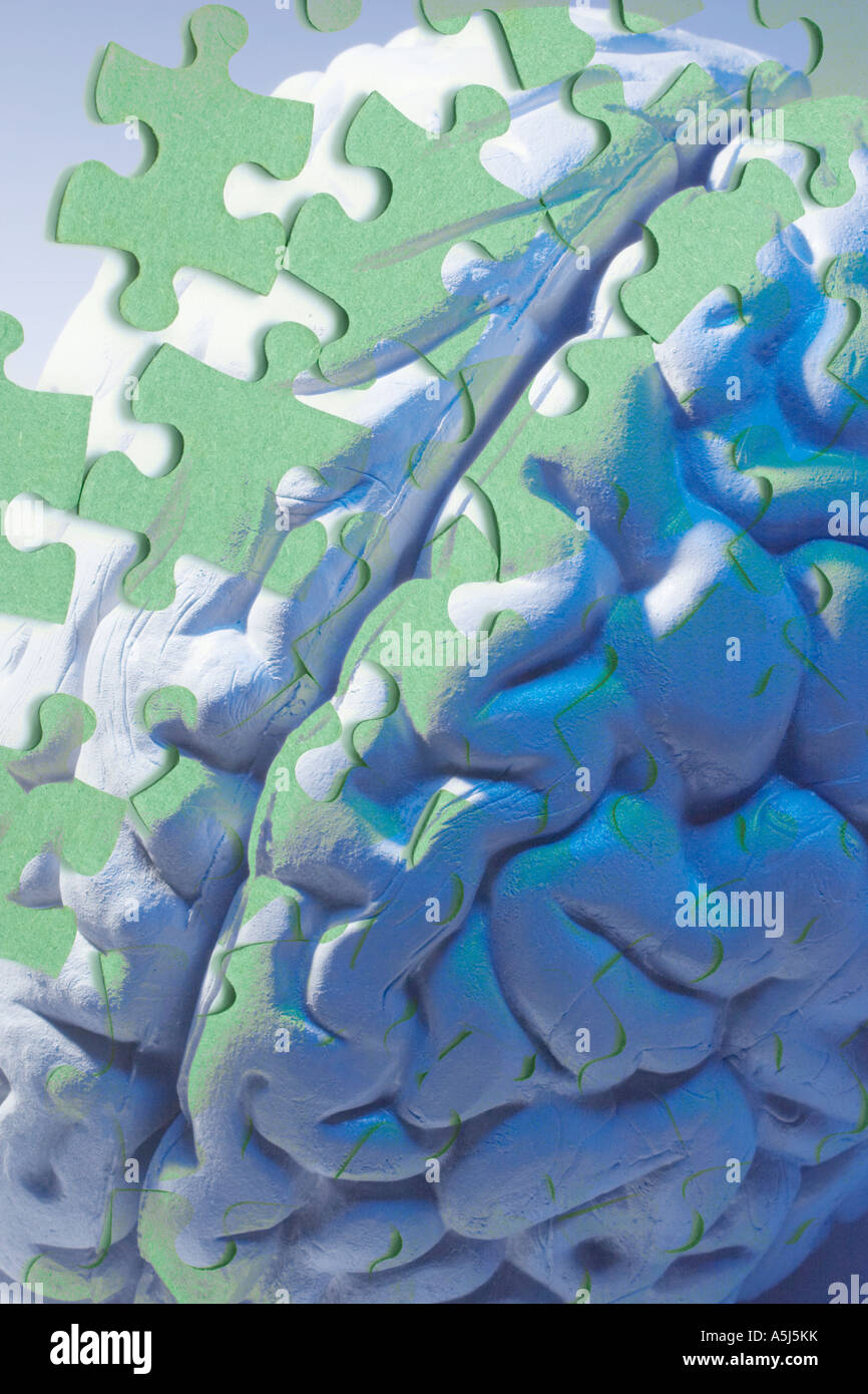 Brain Model and Puzzle Pieces Stock Photo - Alamy