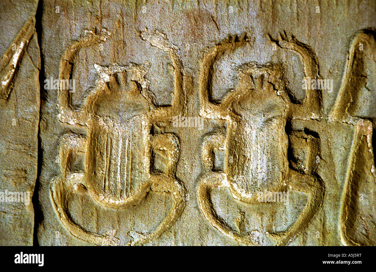 Scarab beetle carving at Luxor in Egypt Stock Photo - Alamy