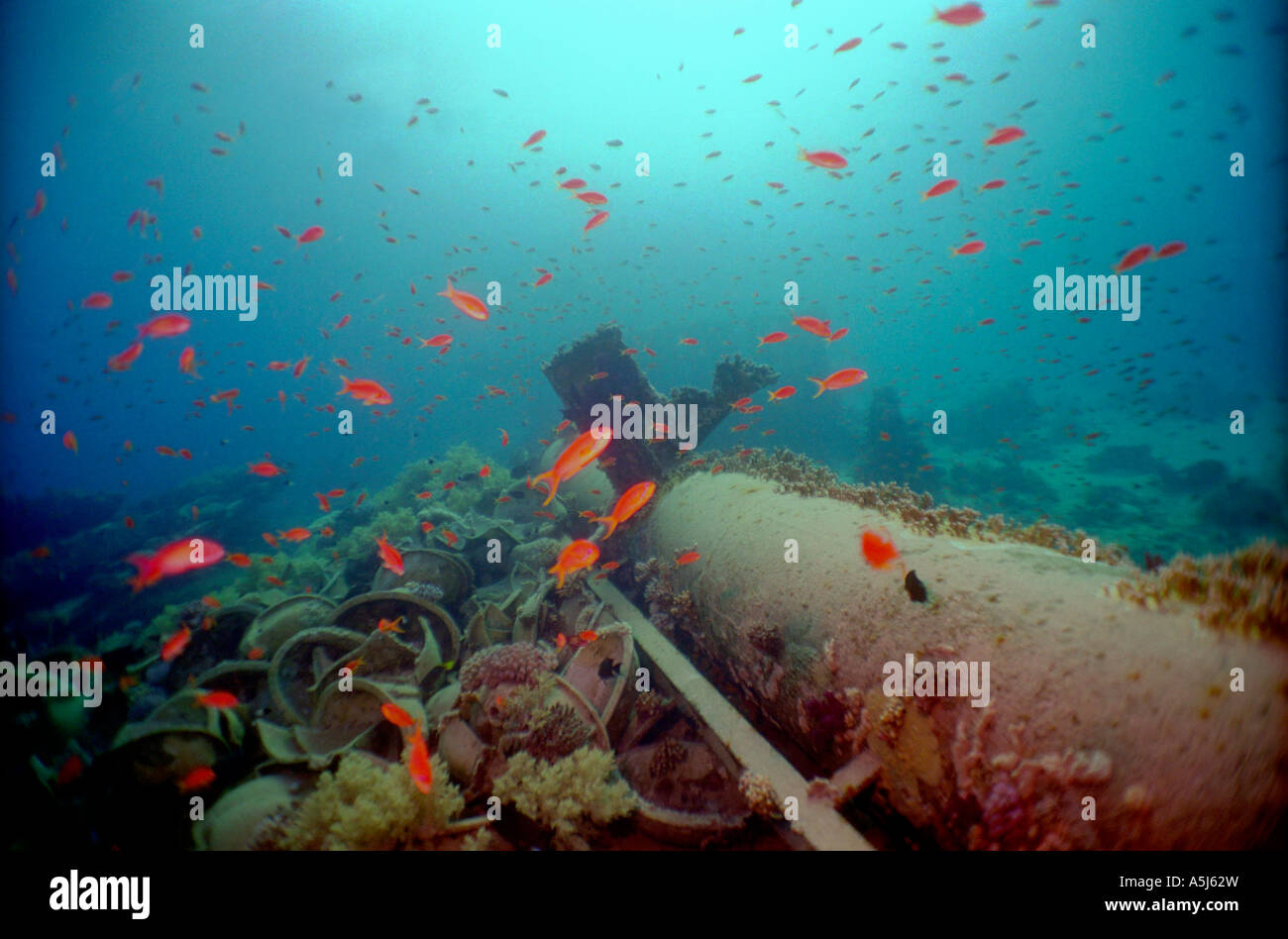 The ship wreck site of the Yolanda at Ras Mohammed, Red Sea, Egypt ...
