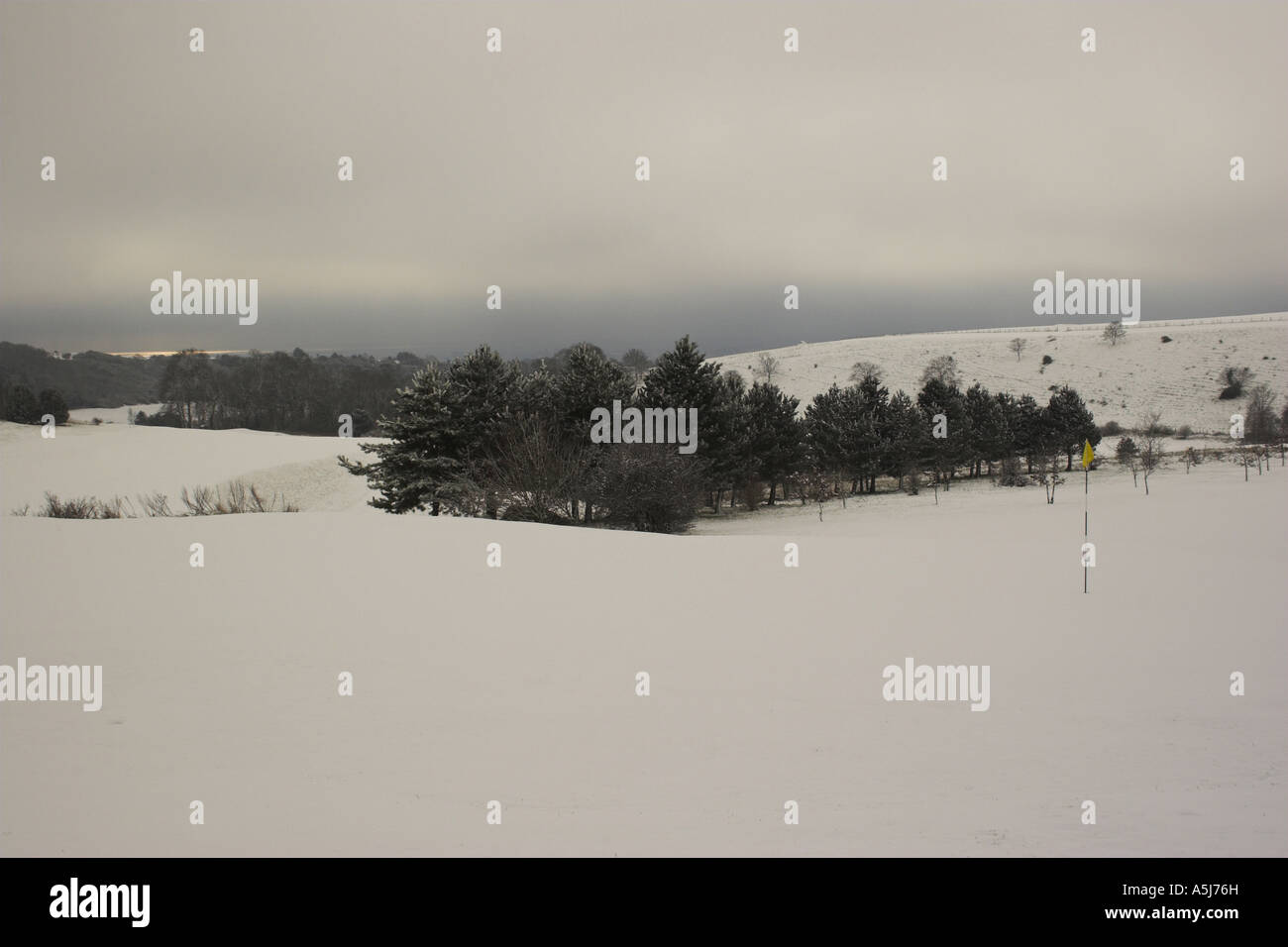 A snow covered golf course on the South Downs, West Sussex Stock Photo ...