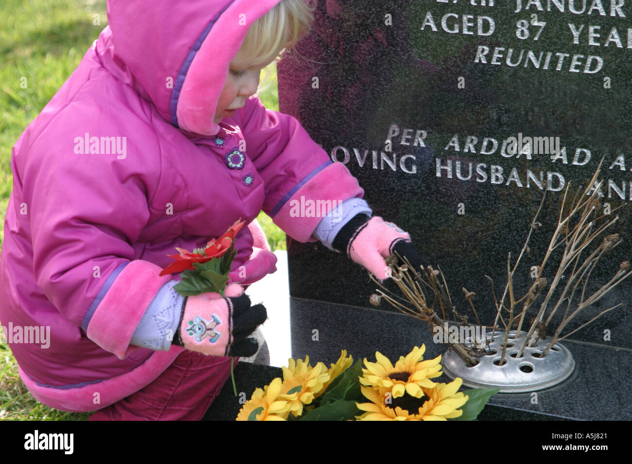 young girl visiting grave Stock Photo - Alamy