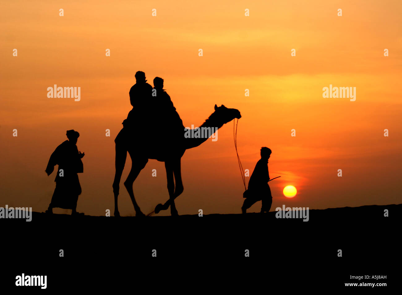 Sunset Thar desert safari Jaisalmer Rajasthan India Stock Photo - Alamy
