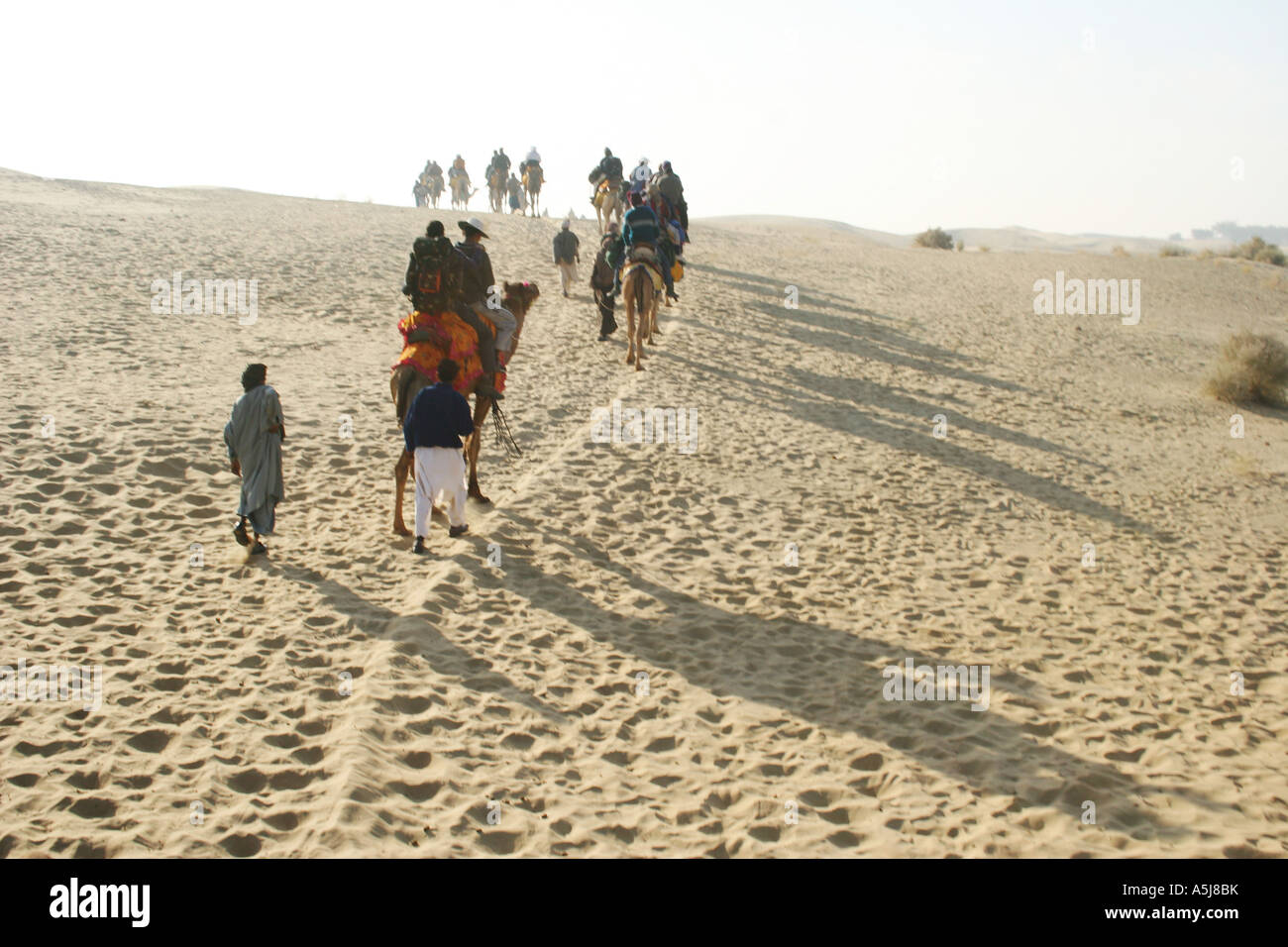 Thar desert safari Jaisalmer Rajasthan India Stock Photo - Alamy