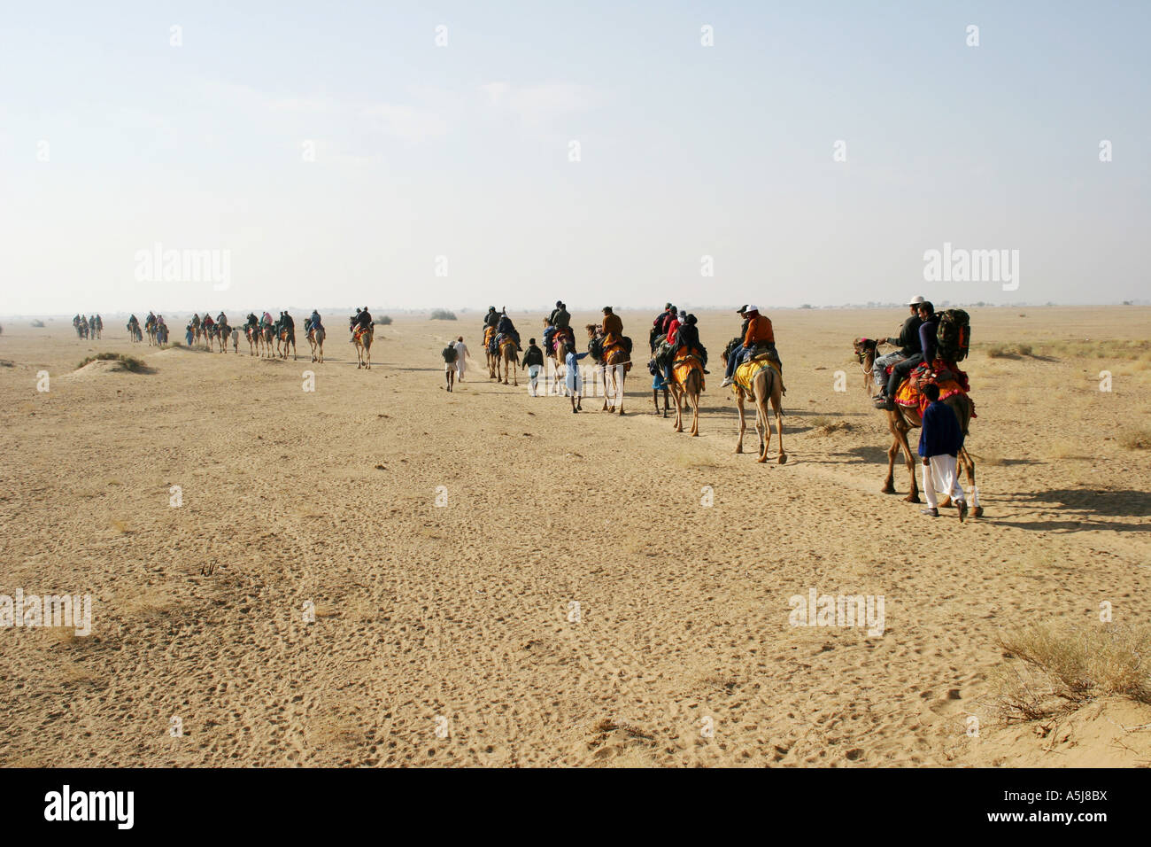Thar desert safari Jaisalmer Rajasthan India Stock Photo - Alamy
