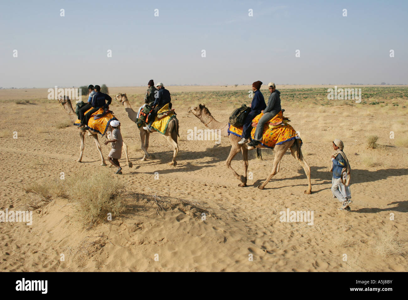 Thar desert safari Jaisalmer Rajasthan India Stock Photo - Alamy