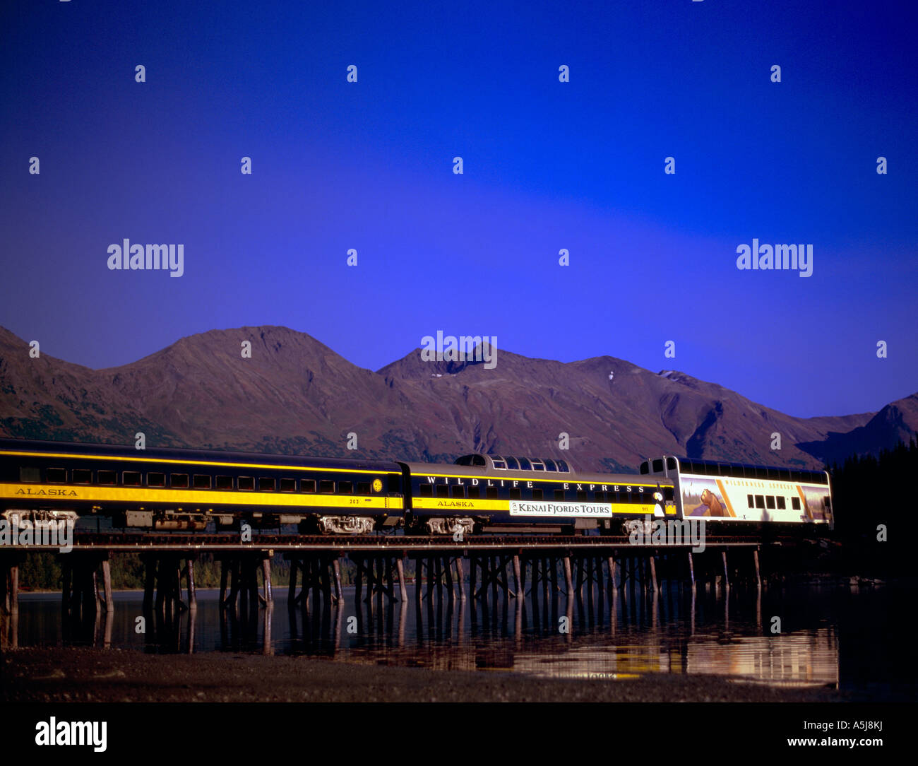 Moose crossing bridge hi-res stock photography and images - Alamy