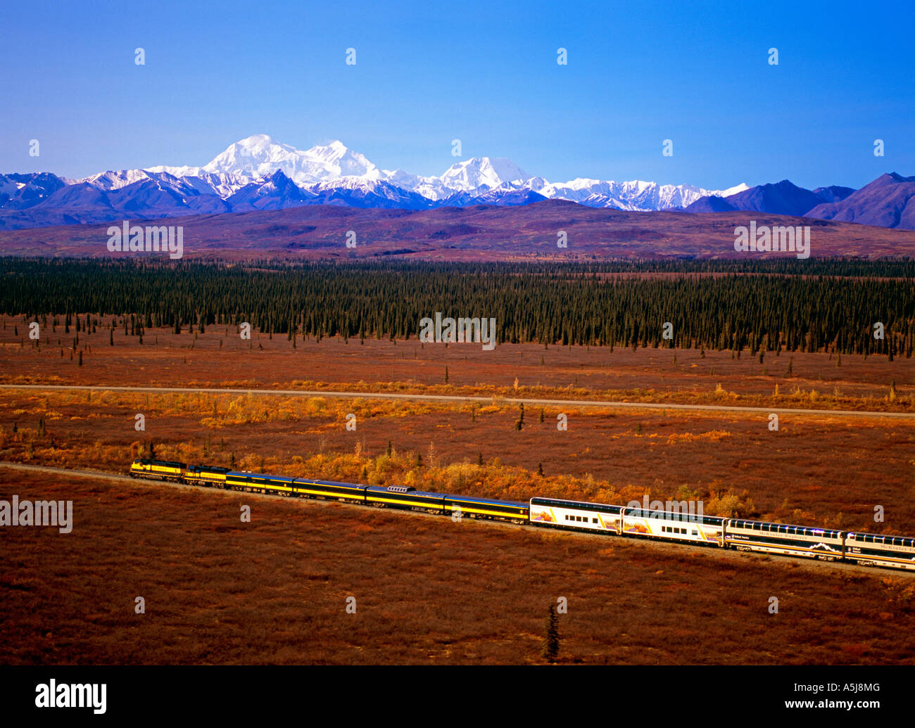 Denali express hi-res stock photography and images - Alamy