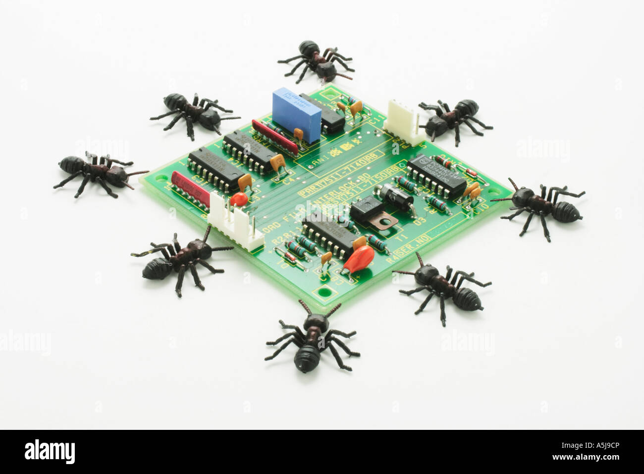 Plastic Ants Around Circuit Board Stock Photo - Alamy