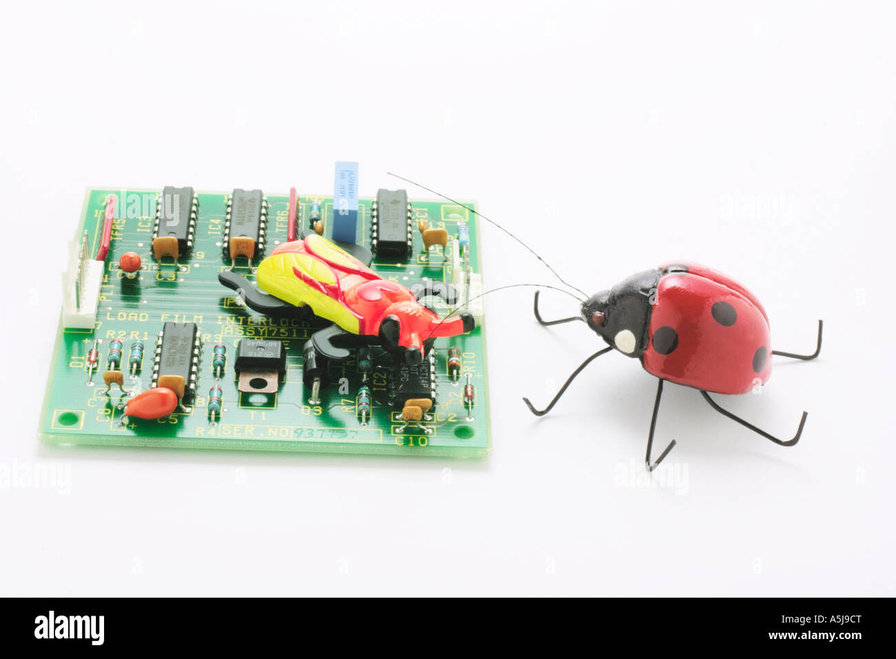 Hardware bugs hi-res stock photography and images - Alamy