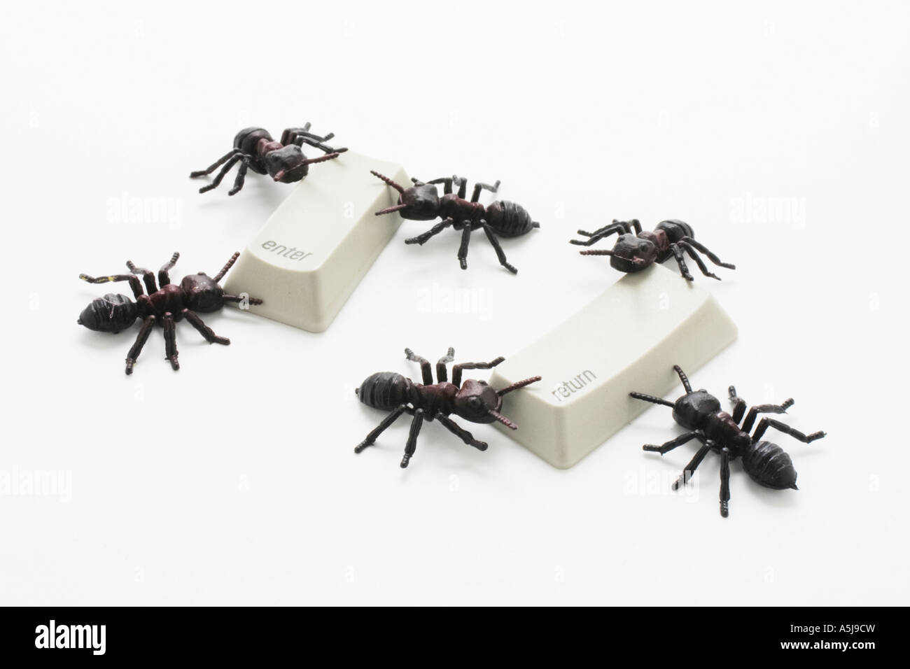 Plastic ants hi-res stock photography and images - Alamy