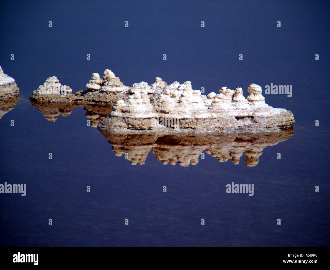 salt formation at the Dead Sea Israel Stock Photo - Alamy