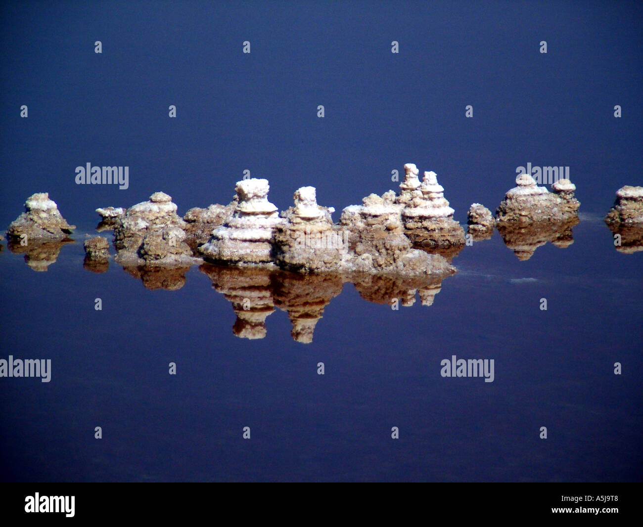 salt formation at the Dead Sea Israel Stock Photo - Alamy