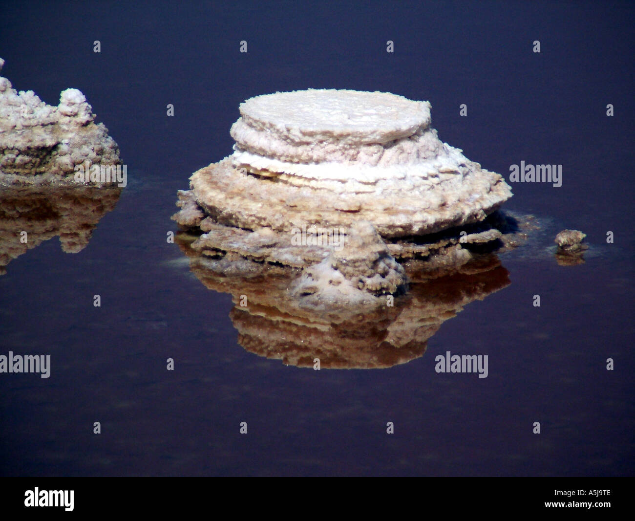 salt formation at the Dead Sea Israel Stock Photo - Alamy