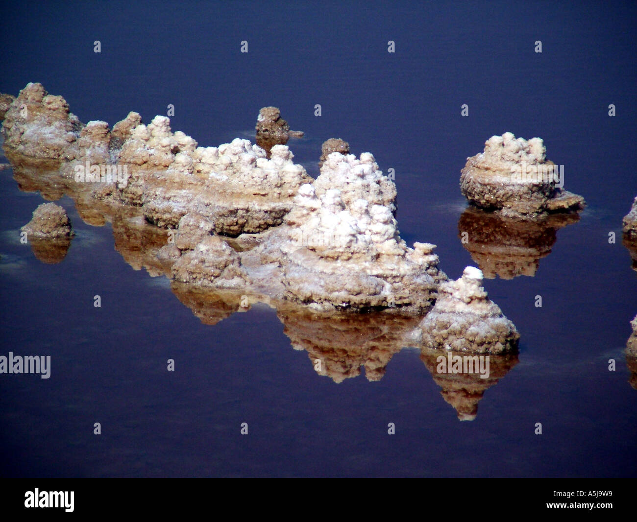 salt formation at the Dead Sea Israel Stock Photo - Alamy