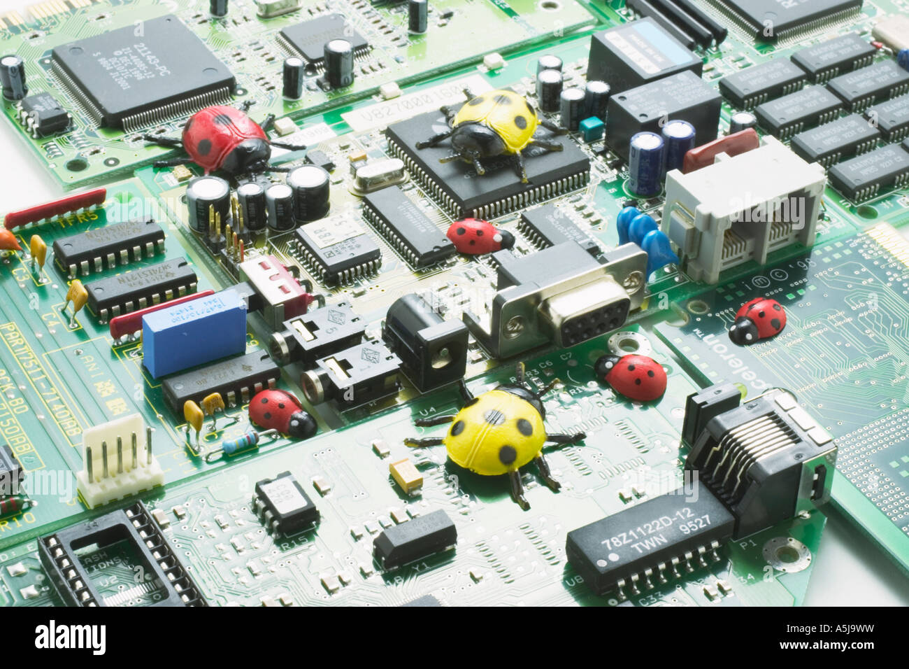 Computer Bugs on Circuit Board Stock Photo - Alamy