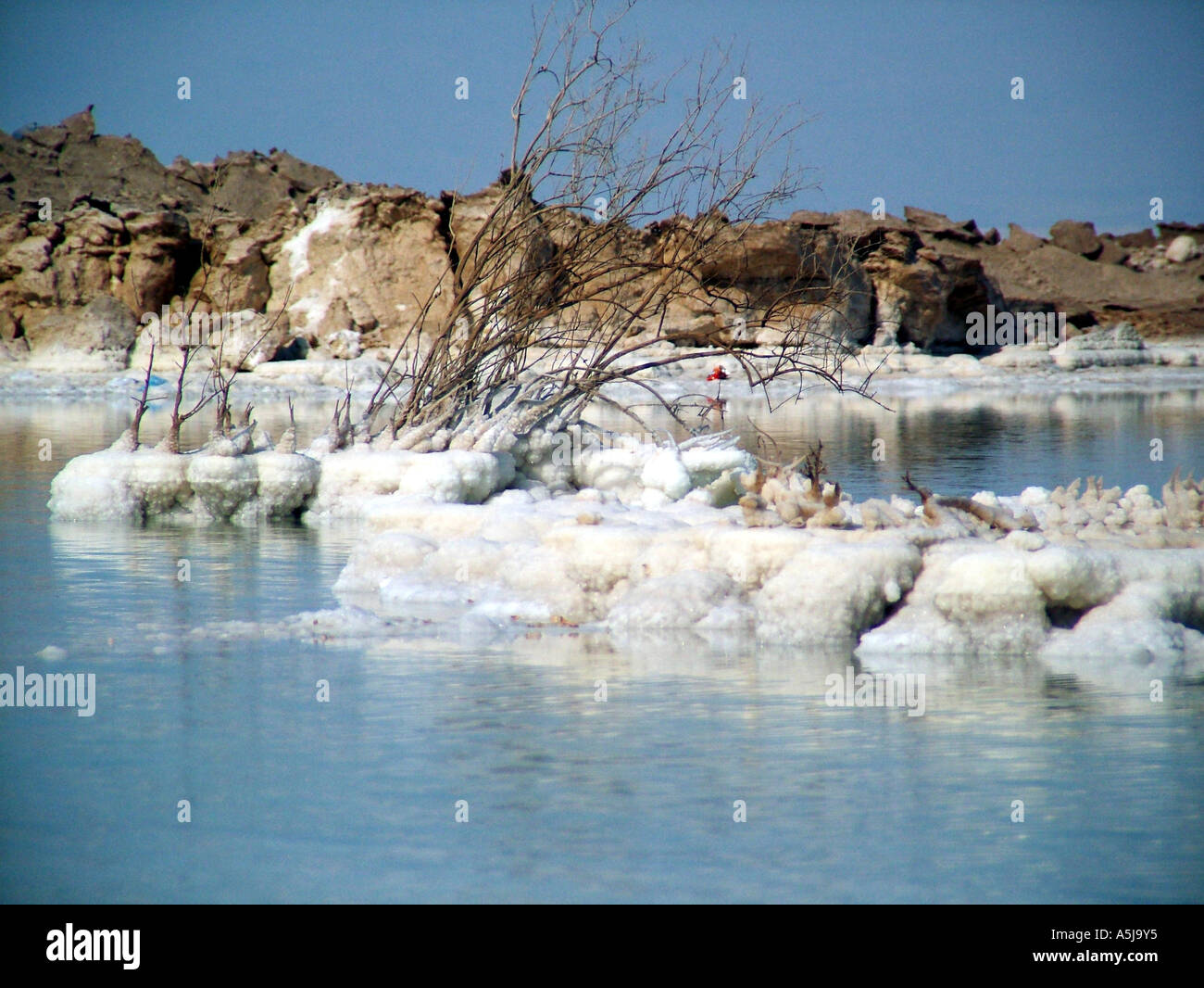 salt formation at the Dead Sea Israel Stock Photo - Alamy