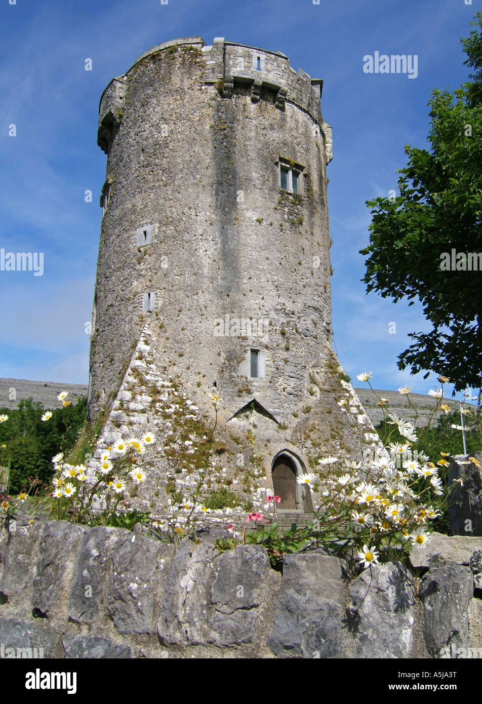 Newtown castle hi-res stock photography and images - Alamy