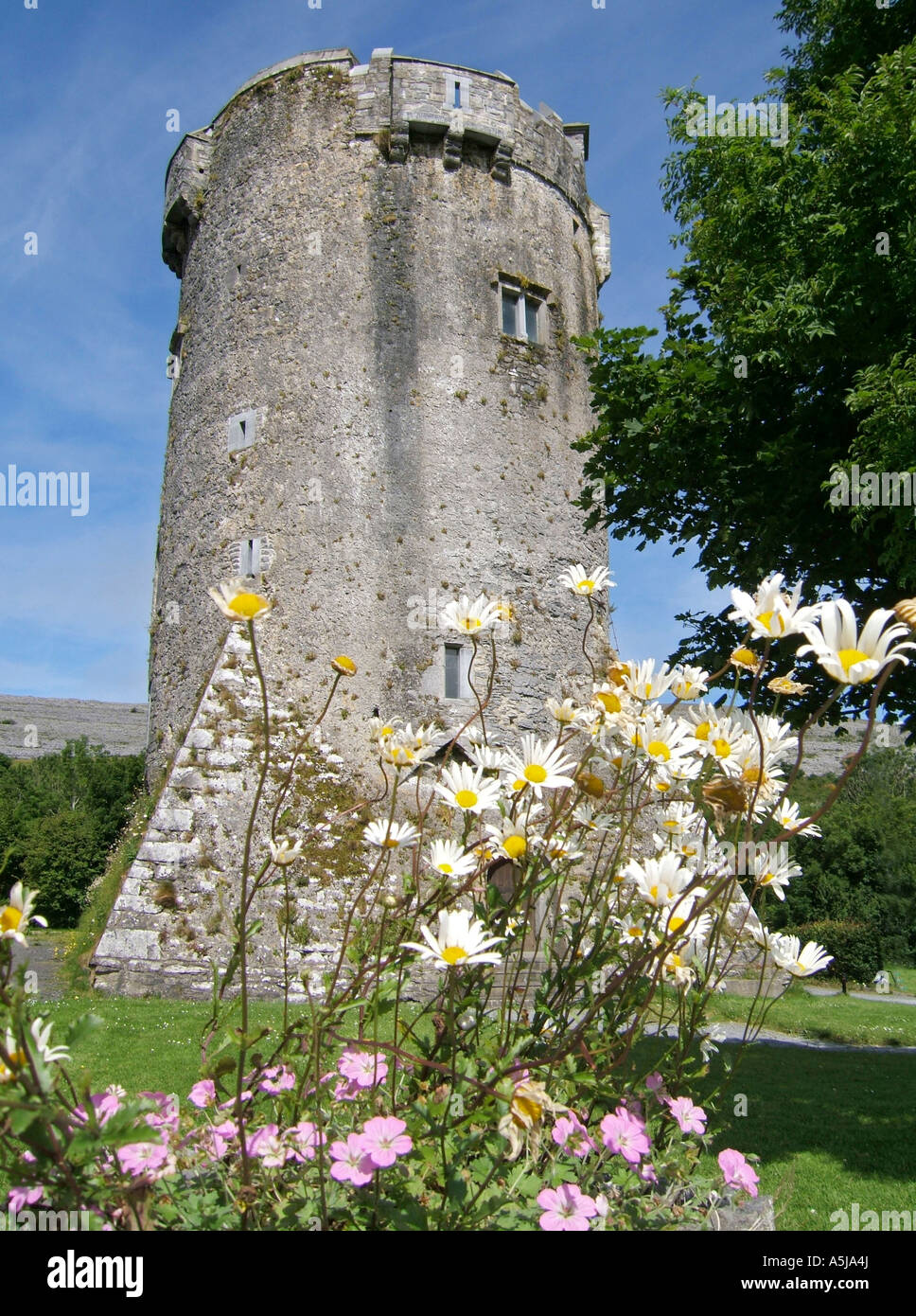 Newtown Castle, near Ballyvaghan, County Limerick, Eire Stock Photo - Alamy