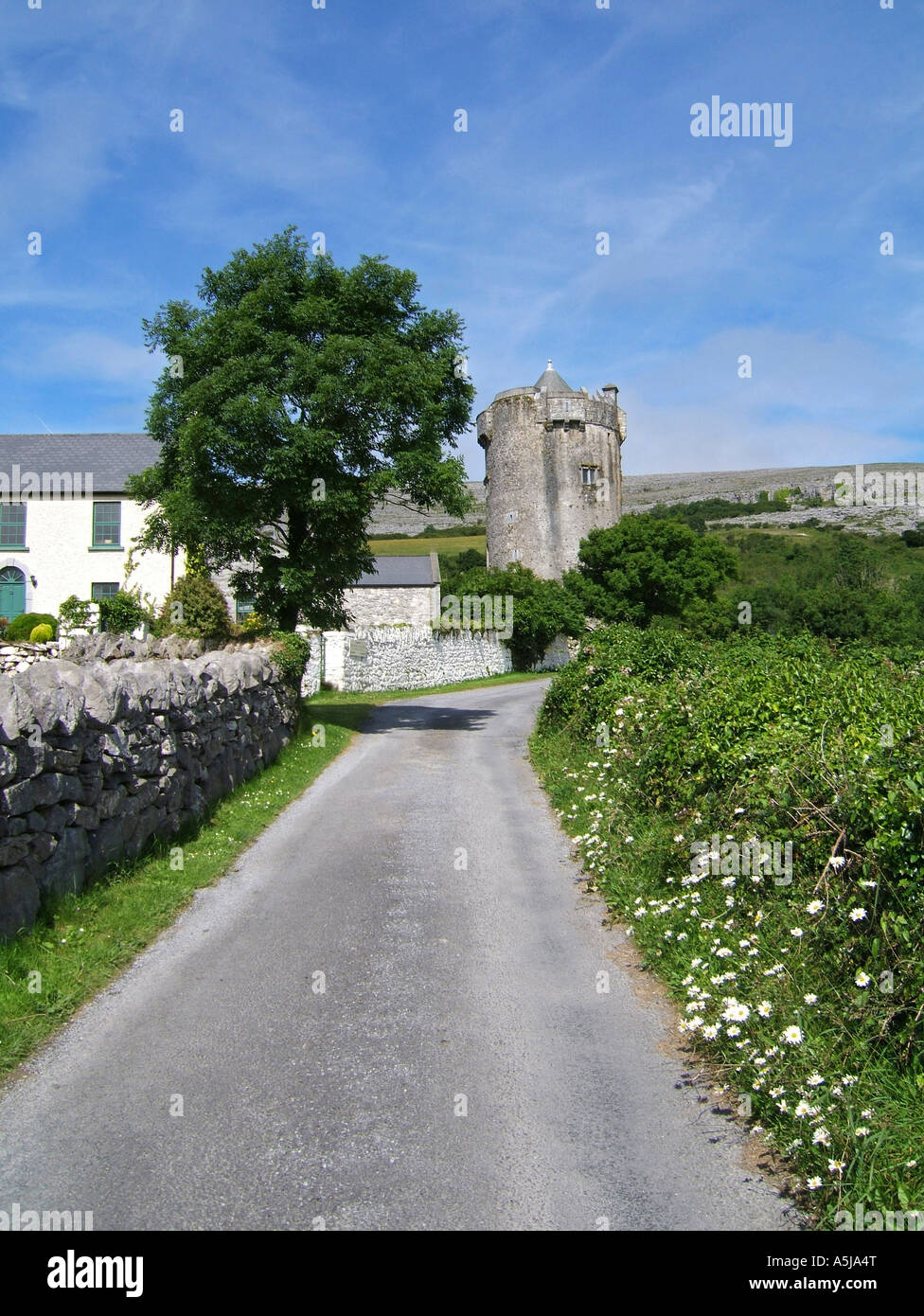 Newtown castle hi-res stock photography and images - Alamy