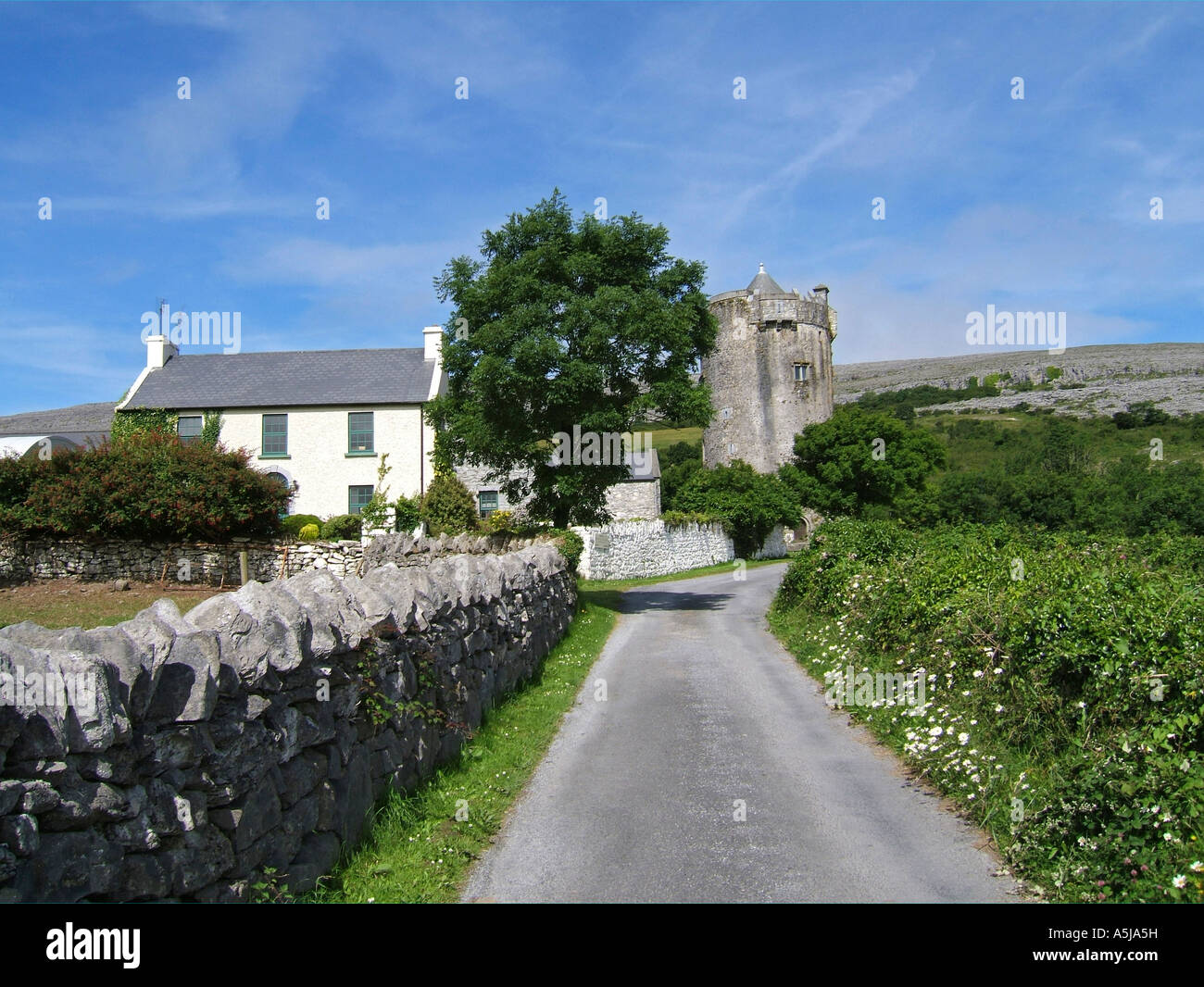 Newtown castle hi-res stock photography and images - Alamy