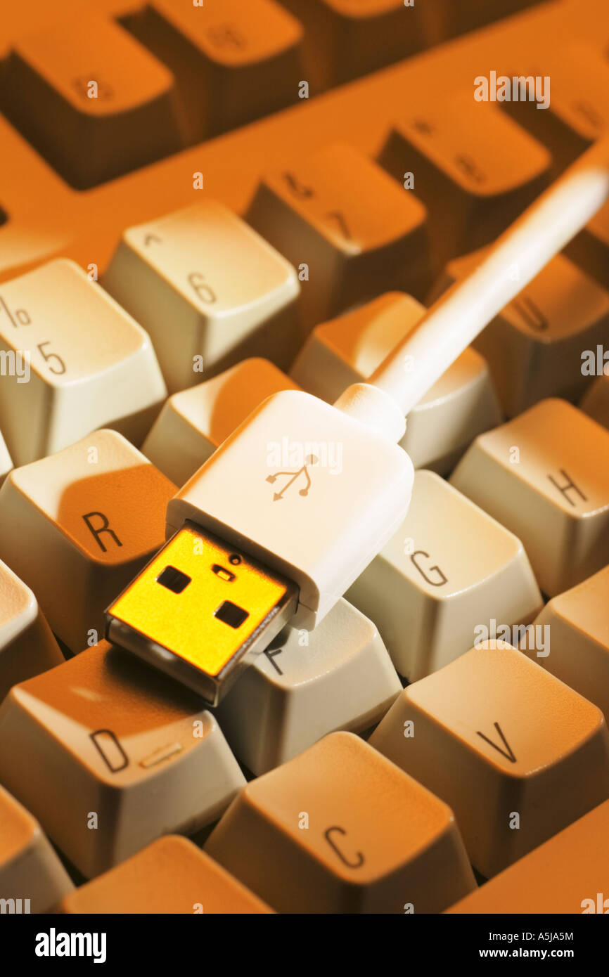 USB Cable on Computer Keyboard Stock Photo - Alamy