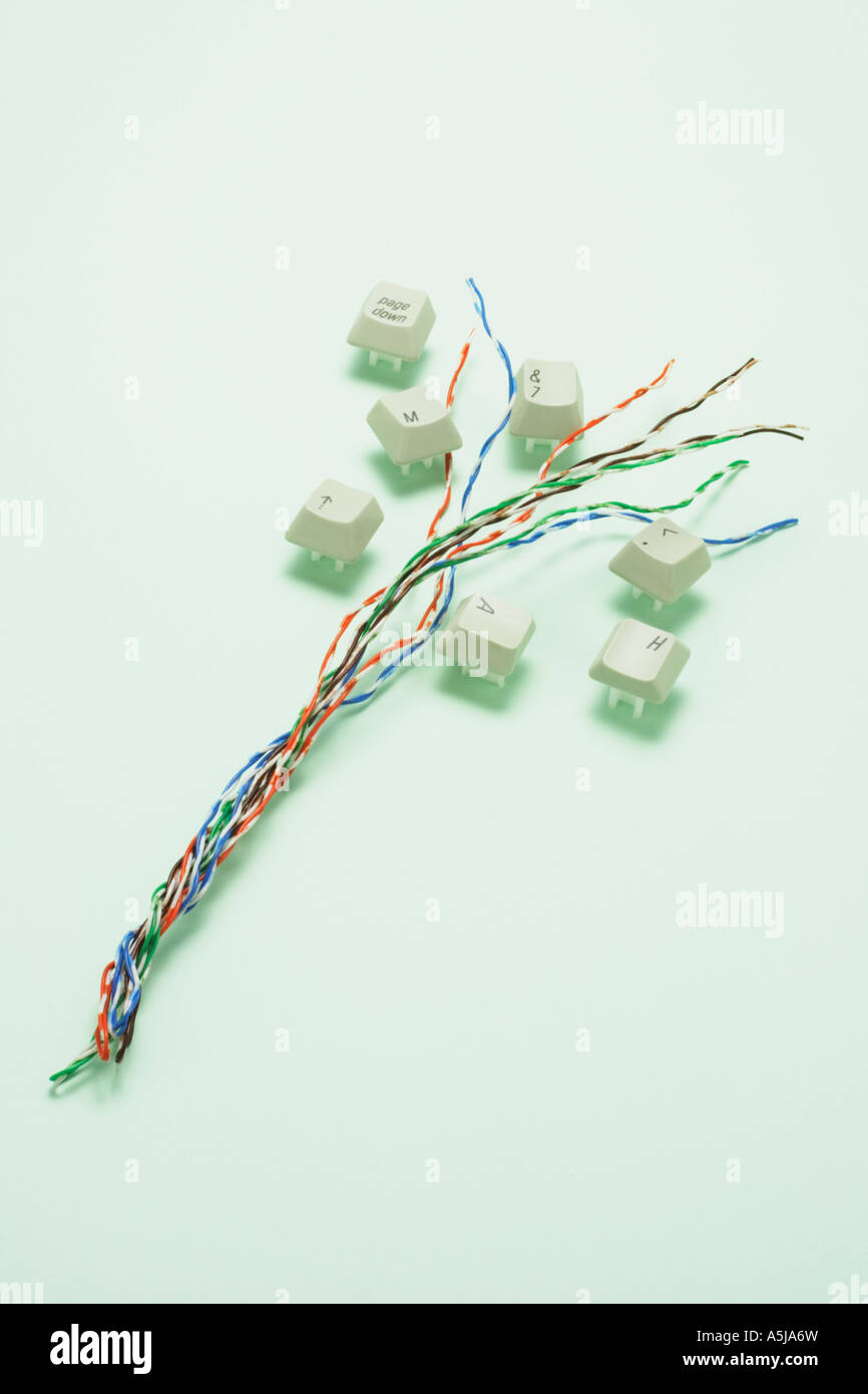 Computer Keys and Wires Forming Shape of Plant Stock Photo - Alamy