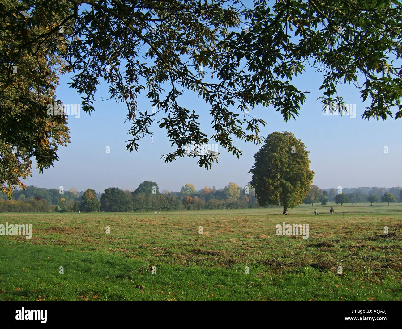 Cheam park hi-res stock photography and images - Alamy